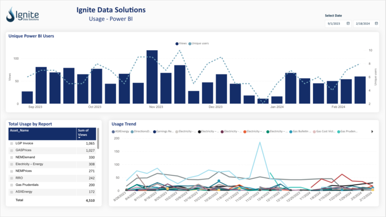 DataPulse - Ignite Data Solutions